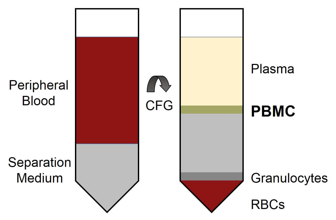 Human Peripheral Blood Mononuclear Cells: PBMC/HMNC-PB 人外周血單核細胞：PBMC ...